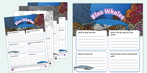 Blue Whale Folding writing Template