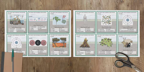 Carbon Cycle Cut and Paste Worksheet