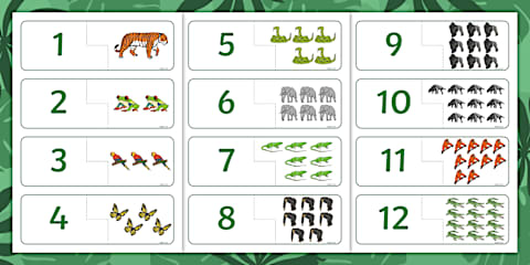 1-20 Jungle-Themed Counting Flashcards
