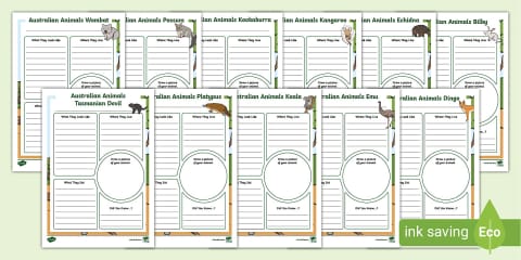 Australian Magpies Fact File