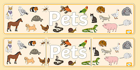 Pet Animals Photo Display Poster - Twinkl