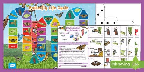 Butterfly Life Cycle Spinner Game