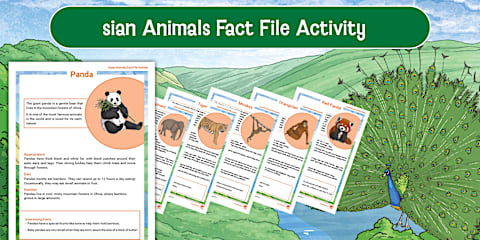 Rainforest Animals Activity Pack