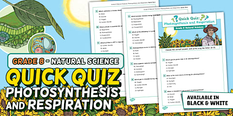 Photosynthesis Light intensity Sample Question
