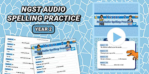 Year 2 NGST Style Practice Test 4
