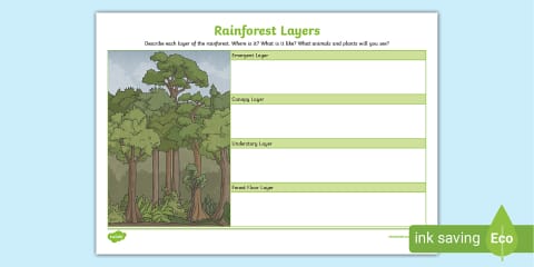 Deforestation in the Amazon Rainforest Assembly