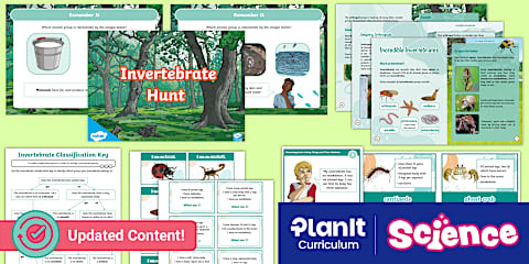 Science: Living Things and Their Habitats: Classification Keys Year 4 ...