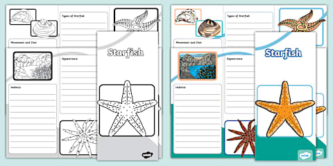 Starfish Fact File Template