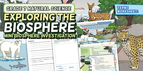 Grade 7 - NS - Ecosystems Worksheet (CAPS Aligned)