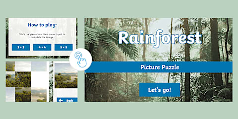 Rainforest Animals Interactive Shadow Matching Game