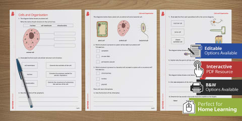 Plant Cell Diagram Worksheets