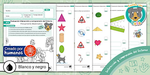 Póster: Figuras geométricas 2D y 3D