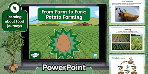 All About From Farm to Fork Differentiated Reading Comprehension