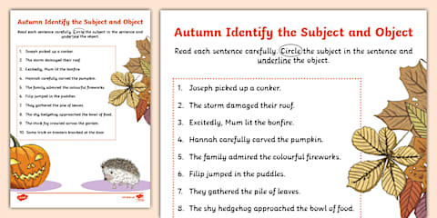 Subject Verb Object Worksheet