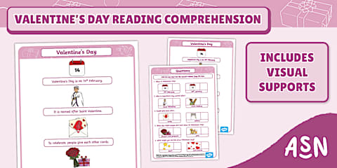 Winter Reading Comprehension with Visual Supports