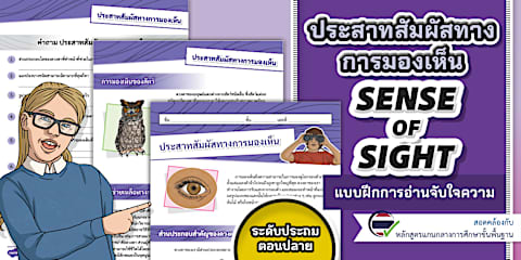 สัตว์ป่าสงวนของไทย - เกมอักษรซ่อนคำ
