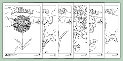 KS2 Spring Flowers Colouring Bunting