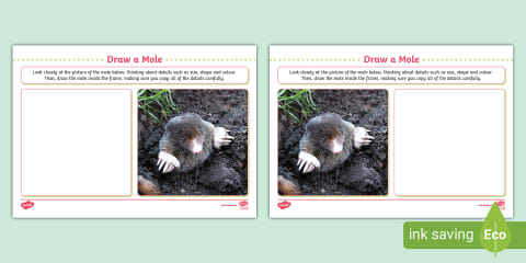 KS1 Moles Question Cards