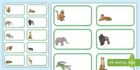 Editable Drawer - Peg - Name Labels (Jungle & Rainforest)