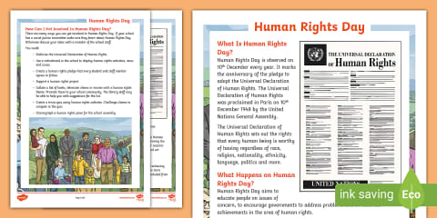 Grade 9 History The Universal Declaration of Human Rights Summary and ...