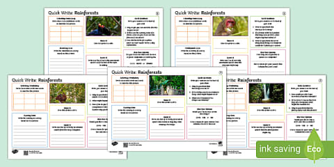 Describe the Rainforest Writing Activity