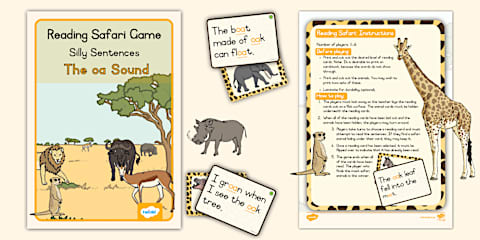 Grade 2 Phonics - Term 2 - oo, oa Blend Group Revision - PowerPoint ...