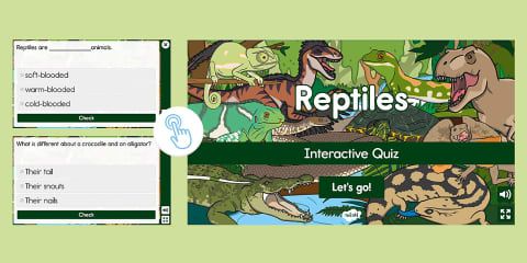 Reptiles Word Search for K-2nd Grade