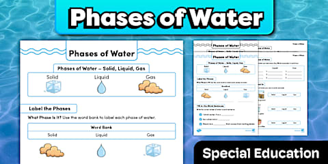 Speedy Spot! Life Cycles of Plants and Animals for Special Education