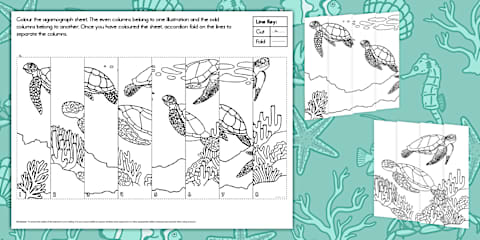 Water Cycle Agamograph