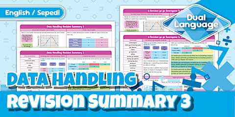 Grade 4 Maths - Term 4 - Data Handling Revision Summary 3 - Sepedi ...