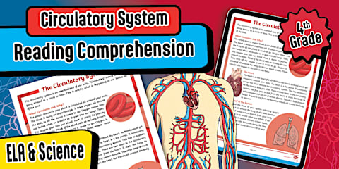 The Human Heart Reading Worksheet for 3rd-5th Grade