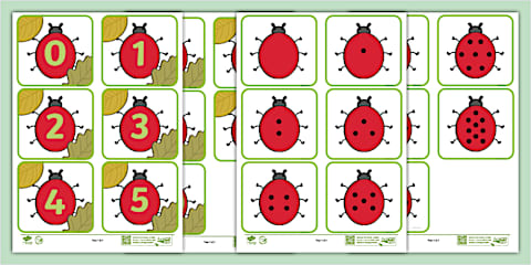 Subitising Roll and Cover Activity
