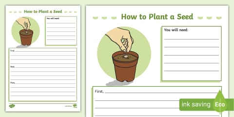 Planting a Seed Instructions Template