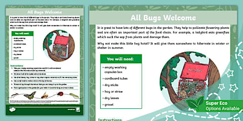 Preschool: STEM – Bug Hotel