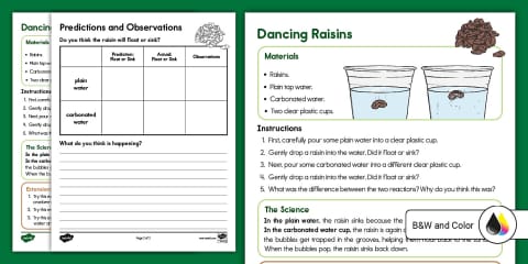Raising Raisins PowerPoint