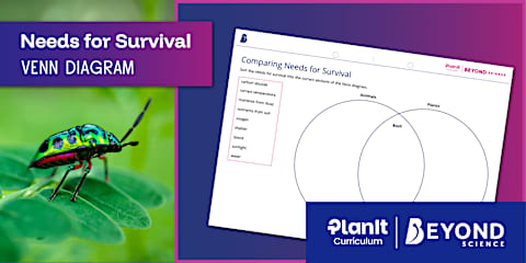 Survival Chemistry Transition Lesson Pack