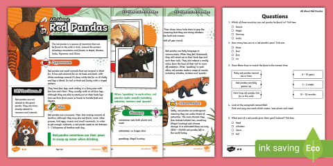Red Pandas Activity Pack