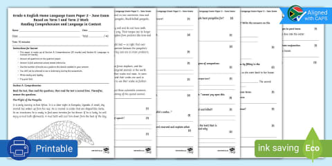 Grade 6 Geography Exam Term 2