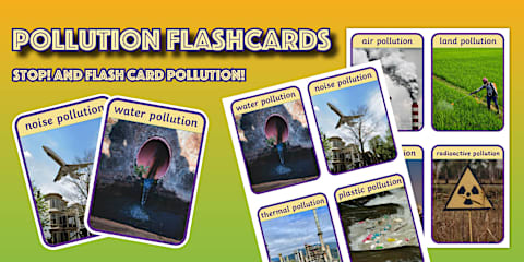 SEE (Environment and Sustainable Living) Irish Bogs Research Activity ...