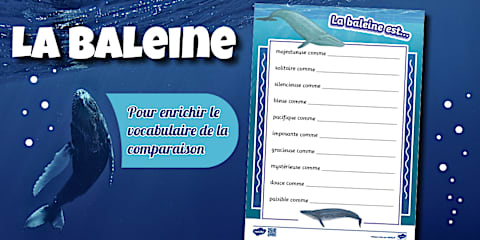 Feuille de travail : Décris la scène estivale