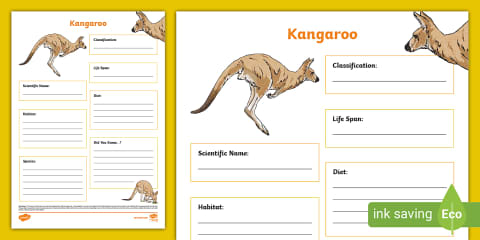 Kangaroo Diagram Pack
