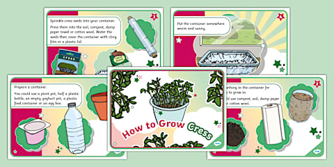 Cress Experiment: What Do Plants Need to Grow?
