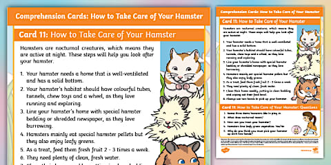 Foundation Phase Comprehension Card: How to Take Care of Your Dog (CAPS ...