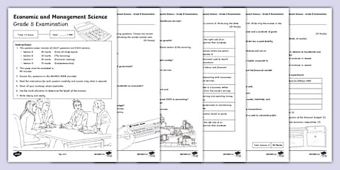 Grade 8 Natural Science: Term 2 Assessment