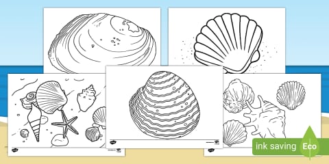 Twinkl and Tonies: Under the Sea Colouring Pages - Twinkl Originals ...