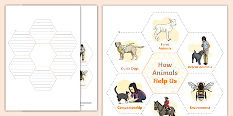 Grade 3 - Animals and Creatures That Help Us Discussion PowerPoint