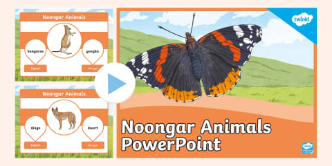 Noongar Language Word Cards for Colour