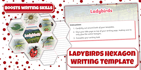Intermediate Phase English - Term 4 – Reflective Journaling – Activity ...