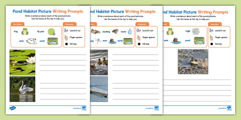 Pond Habitat Sorting Worksheet