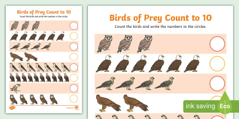 Birds Colour and Count Worksheet